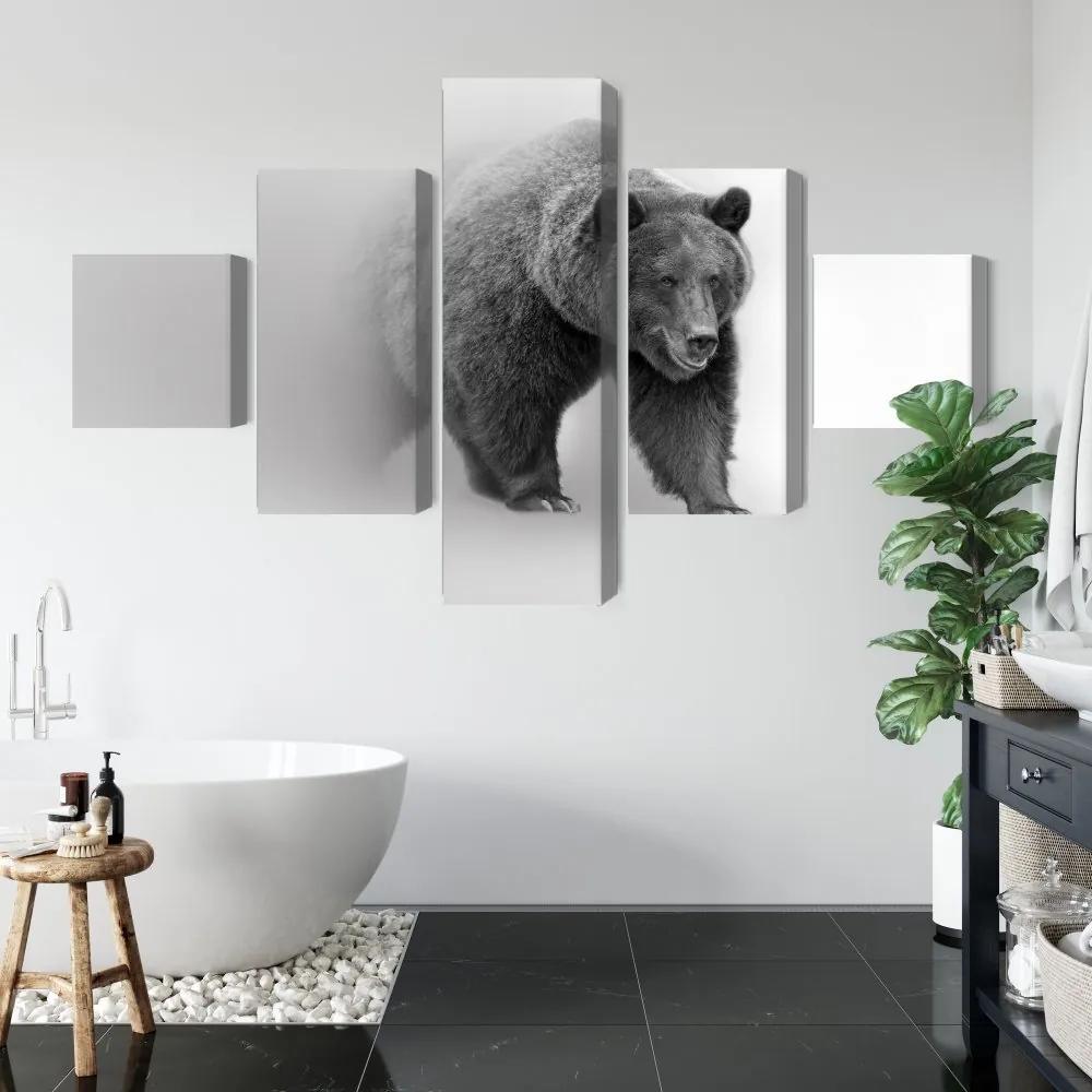 Vícedílný obraz Medvěd V Mlze 3D Nedostatek Nedostatek Plátno Canvas 250x150
