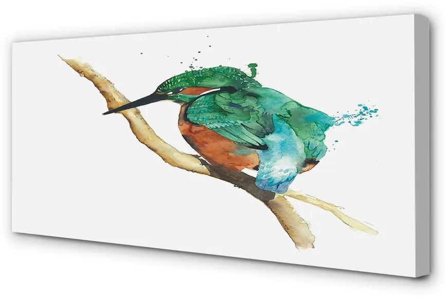 Obrazy na plátně Barevné malované papoušek 120x60 cm