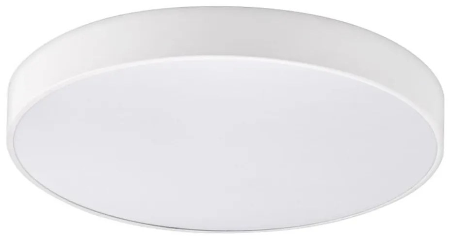 Top Light-LED Koupel. stropní svítidlo PETAL LED/48W/230V IP44 pr. 48 cm bílá+DO