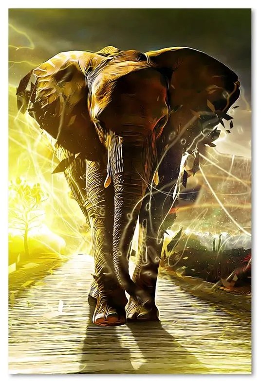 Gario Obraz na plátně Slon na silnici Rozměry: 40 x 60 cm