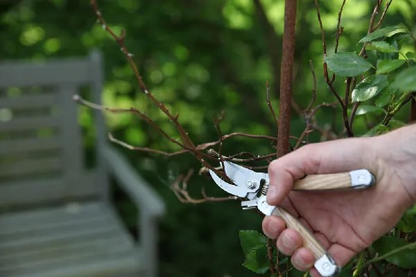 Nůžky zahradnické multifunkční|Esschert Design