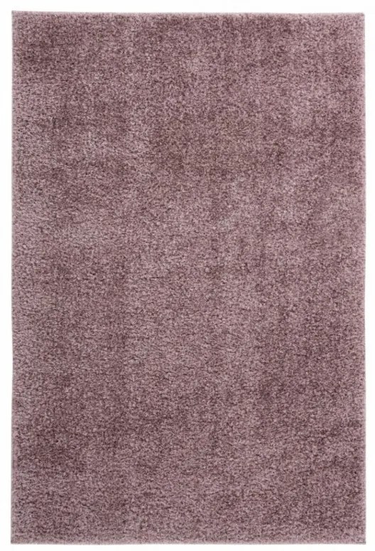 Moderní Kusový koberec Emilia 250 prách fialový Typ: 60x110 cm