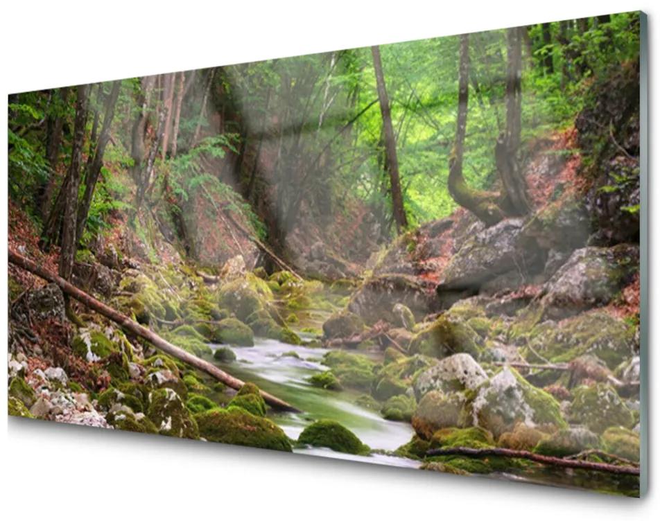 Skleněný obraz Skleněný Les Mech Příroda