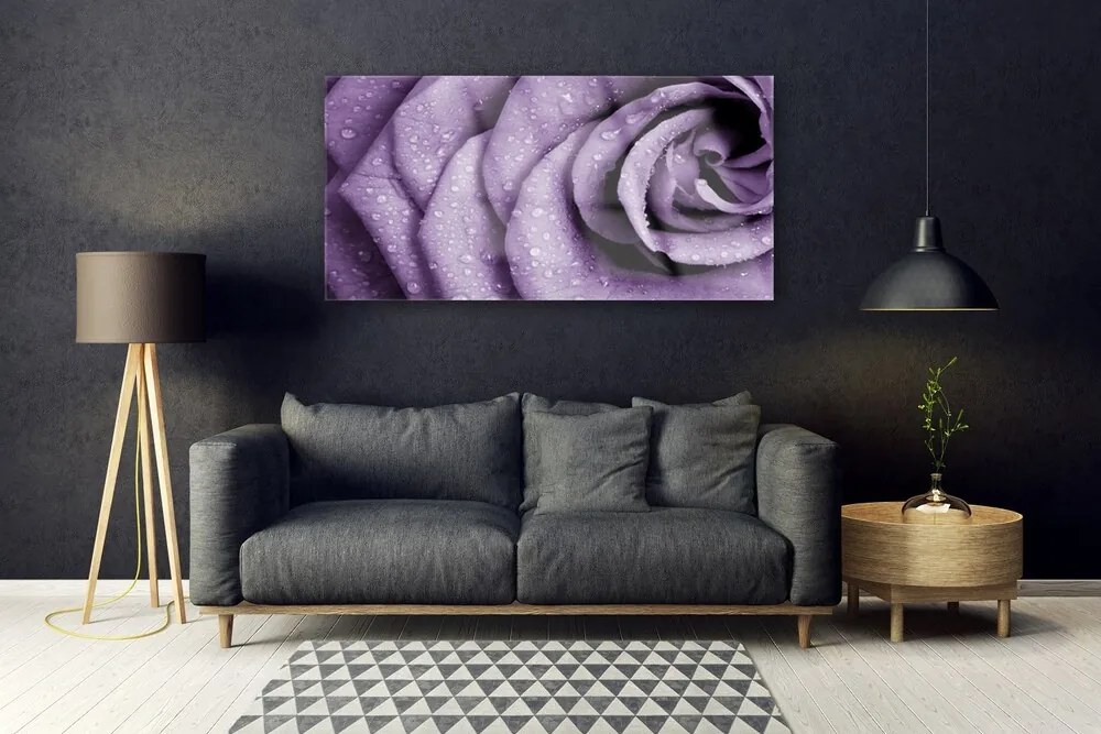 Plexisklo-obraz Růže Květ Rostlina 120x60 cm