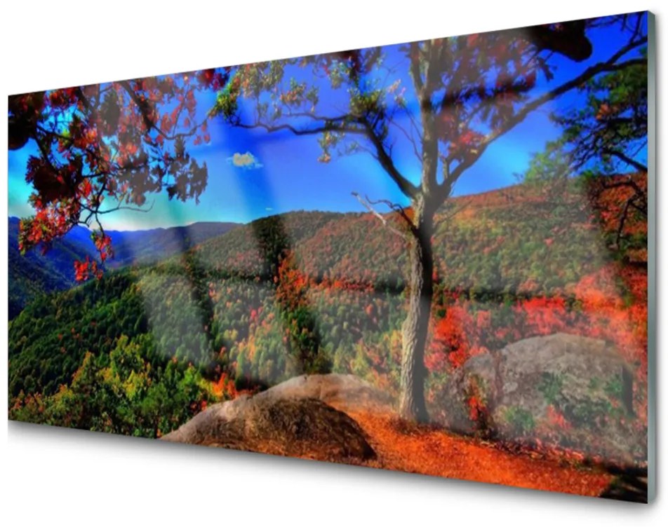 Obraz na skle Skleněný Hora Les Příroda