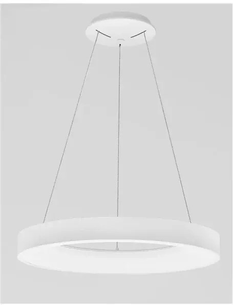LED lustr Rando Smart 60 bílé