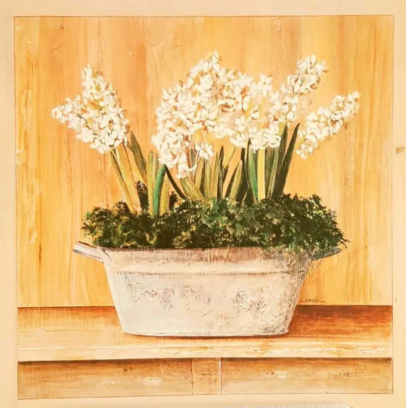 ART-STYLE Obrázek 20x20, hyacinty, rám bílý s patinou