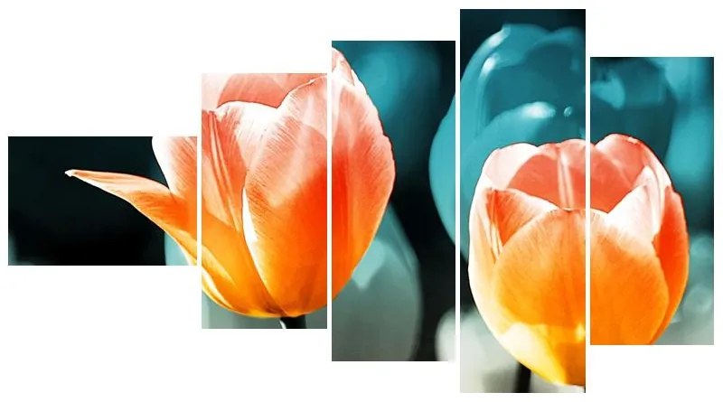 Obraz dvou barevných květů  (110x60 cm), 40 dalších rozměrů