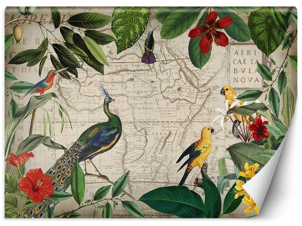 Gario Fototapeta Divoké tropické ptáky - Andrea Haase Materiál: Vliesová, Rozměry: 200 x 140 cm