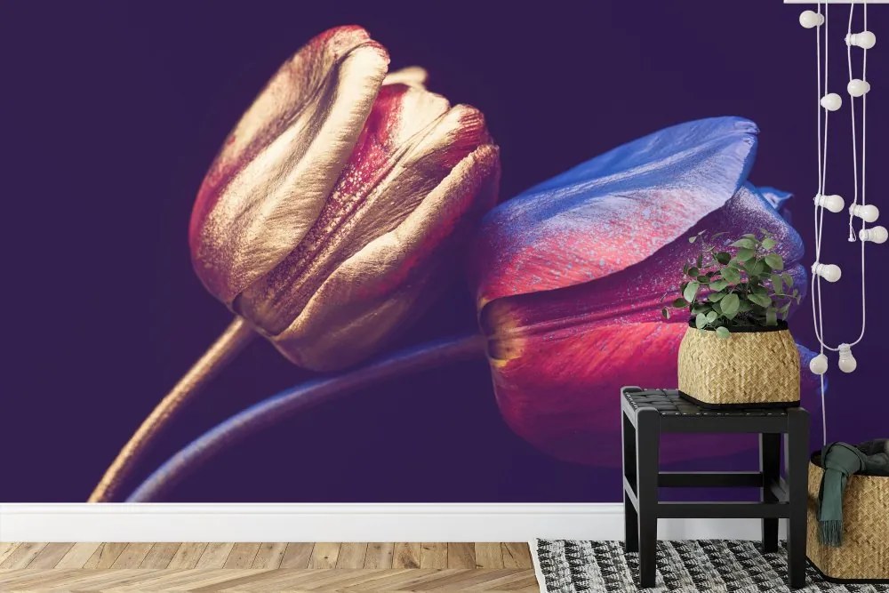 Fototapeta Tulipány Se Zlatými Prvky Samolepící tapety 270x180