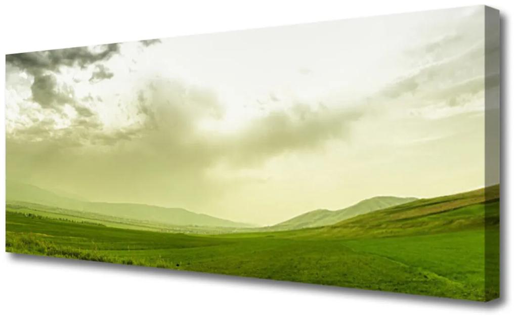 Obraz Canvas Louka Příroda Zelený Výhled