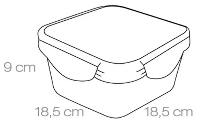 TESCOMA Dóza FRESHBOX 2,0 l, čtvercová