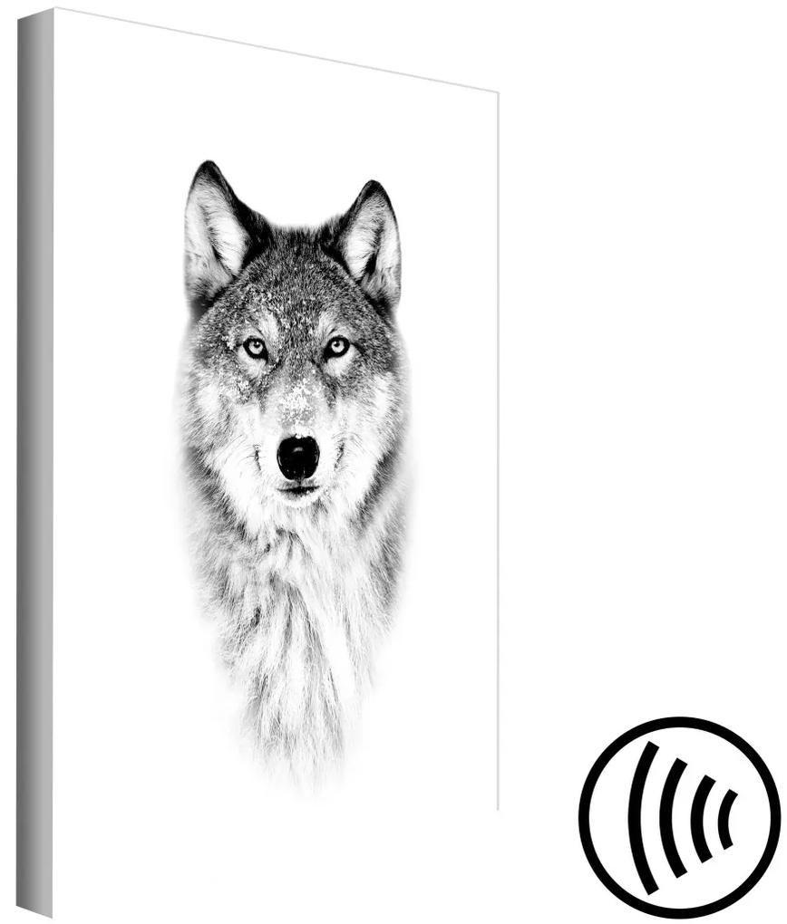 Obraz Portrét vlka (1-dílný) - pyšné zvíře v černobílé podobě