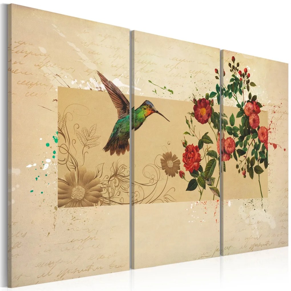 Obraz - Kolibřík a růže - 60x40
