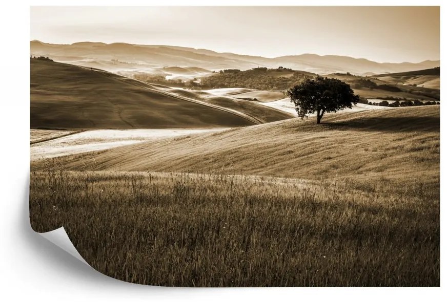 Fototapeta Rolling Hills V Sepia Strukturální vinyl 360x240