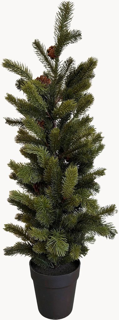 Vánoční stromeček Clove