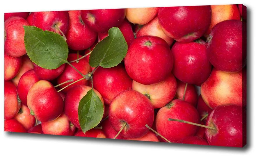 Wallmuralia Foto obraz canvas Červené jablko 100x50 cm