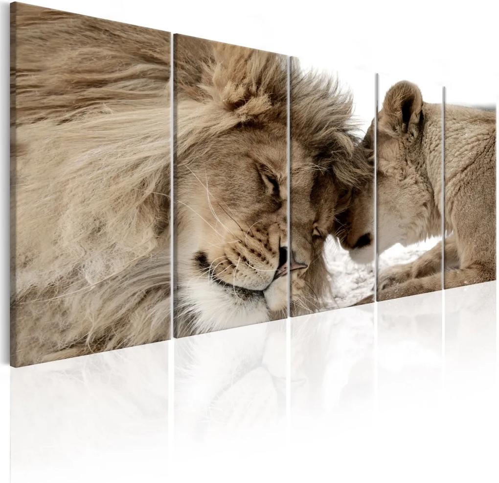 Murando DeLuxe Vícedílné obrazy - lev a lvíče Velikost: 225x90 cm