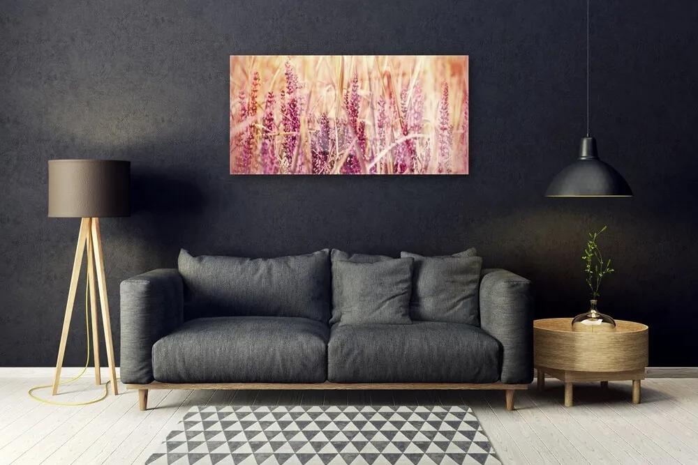 Plexisklo-obraz Pšenice Rostlina Příroda 100x50 cm