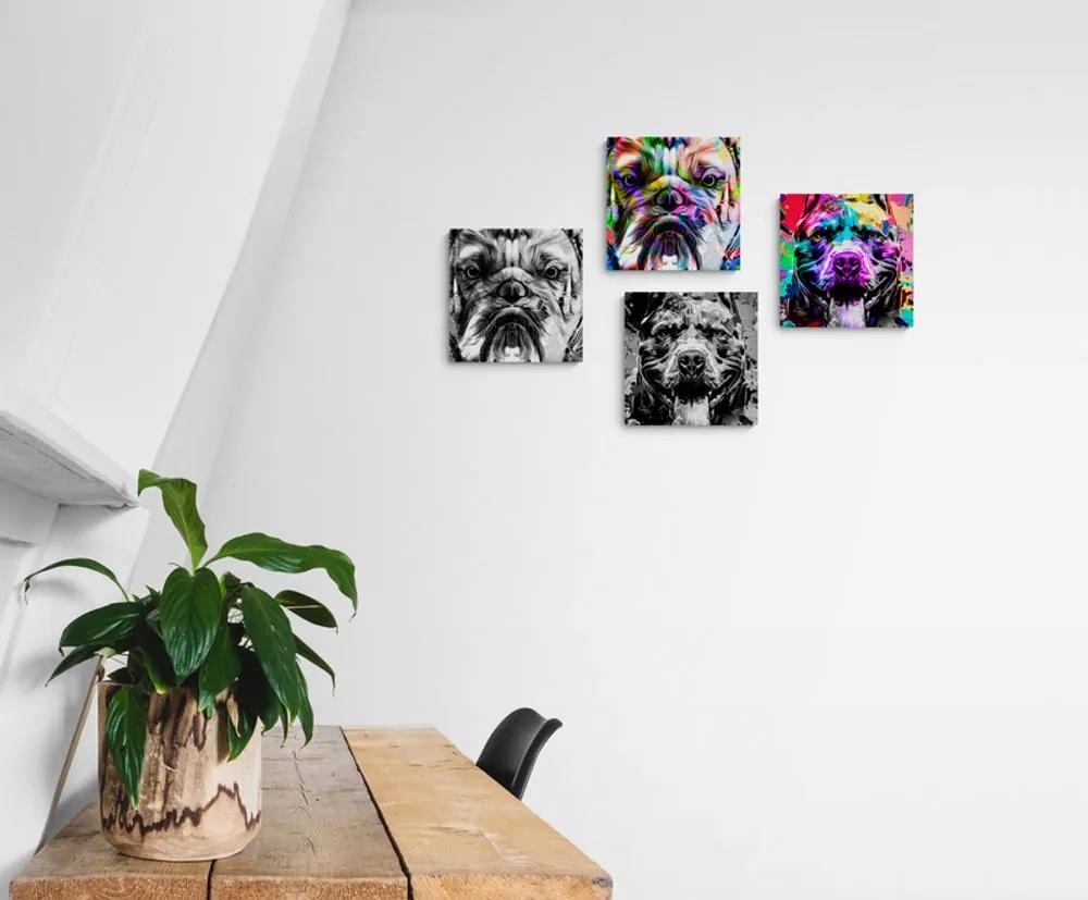 Set obrazů psy v pop art provedení Varianta: 4x 40x40
