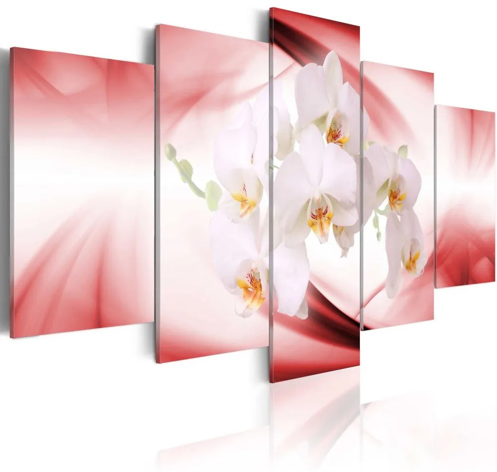 Obraz na plátně Bimago - Orchideje - červené odstíny 100x50 cm