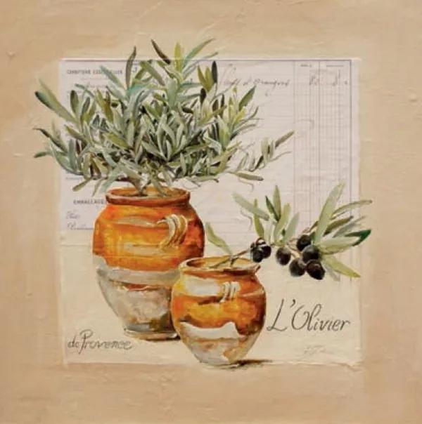 ART-STYLE Obrázek 30x30, oliva v nádobě, rám sv. dub - červotoč