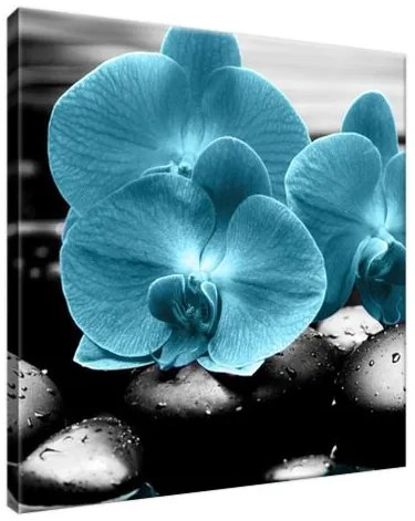 Tištěný obraz Tyrkysová orchidej a kameny 30x30cm 2398A_1AI