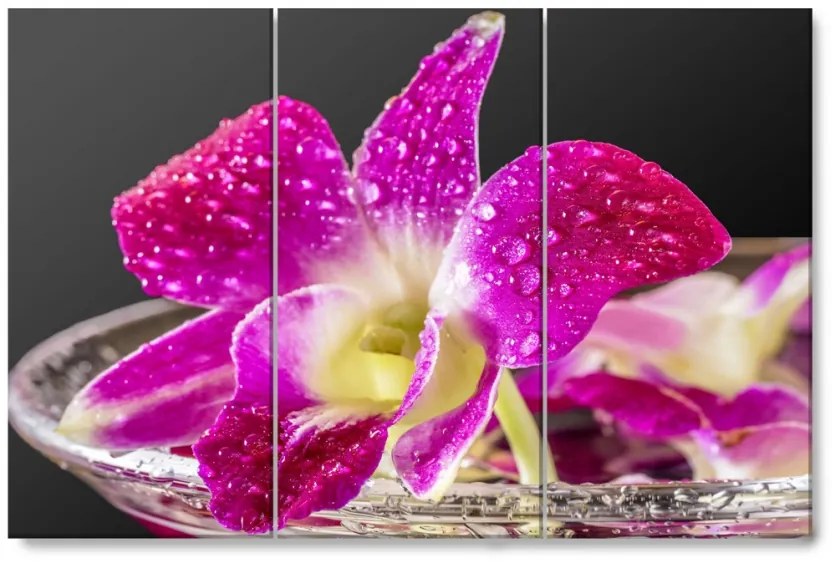 Malvis ® Vícedílný obraz - Fialová orchidej Velikost: 90x60 cm