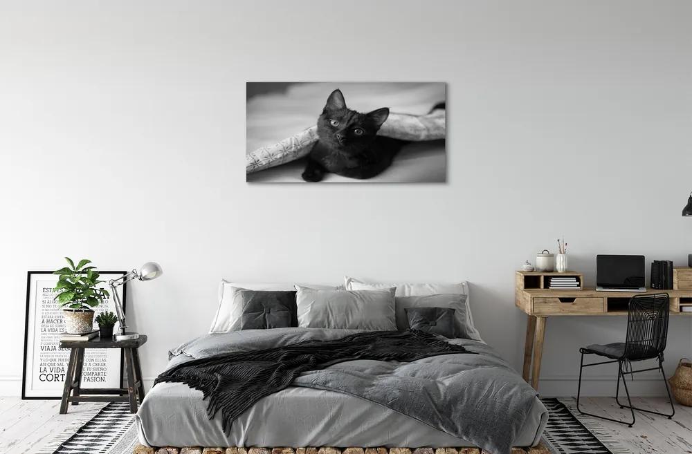 Obrazy na plátně Kočka pod přikrývkou 125x50 cm