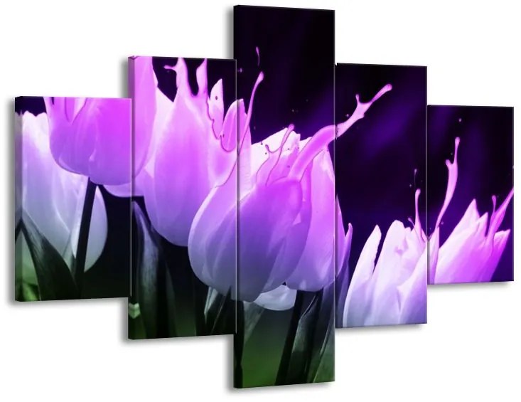 Střapaté tulipány 100x70 cm
