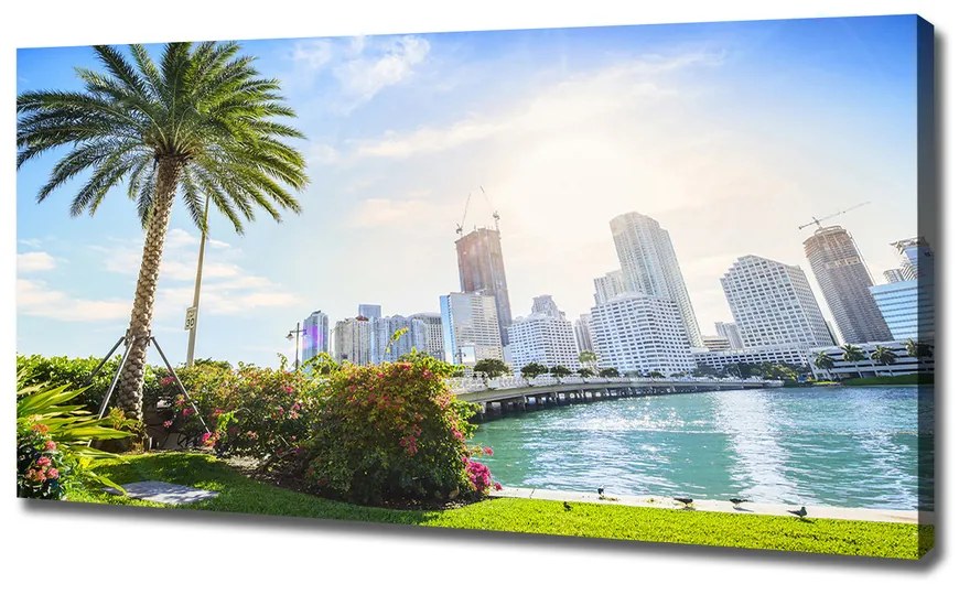 Wallmuralia Foto obraz tištěný na plátně Miami USA 120x60 cm