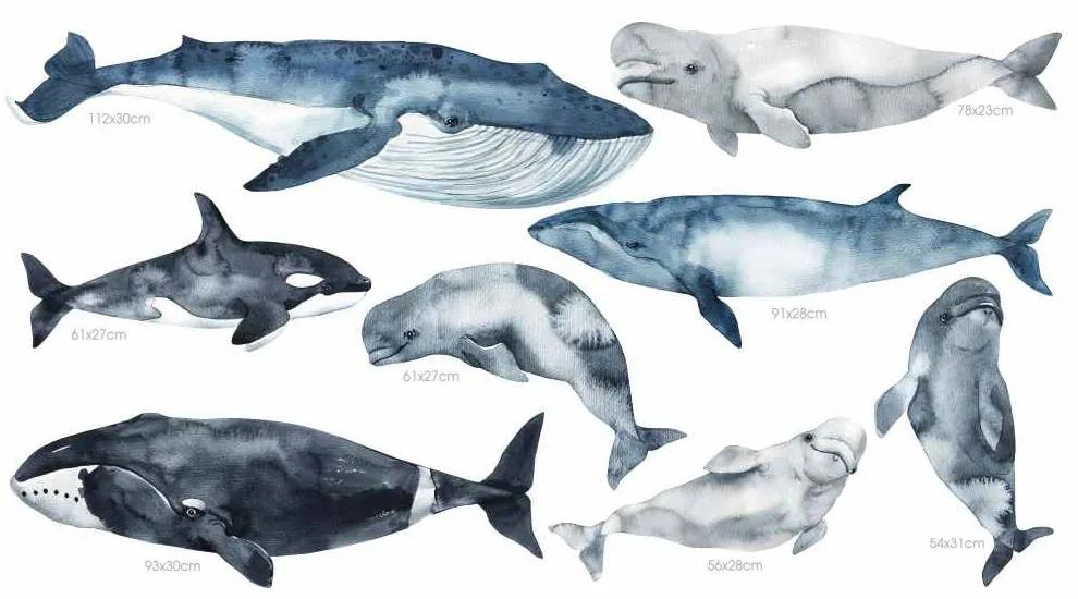 Gario Dětská nálepka na zeď Ocean world - velryby, kosatka a běluhy