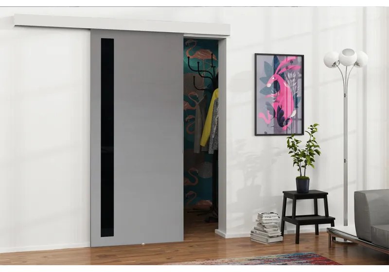 Posuvné dveře Mereno V 100, Barva: bílá + grafit + černý lacobel