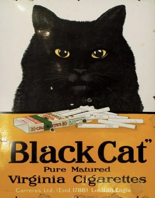 Plechová cedule Black Cat