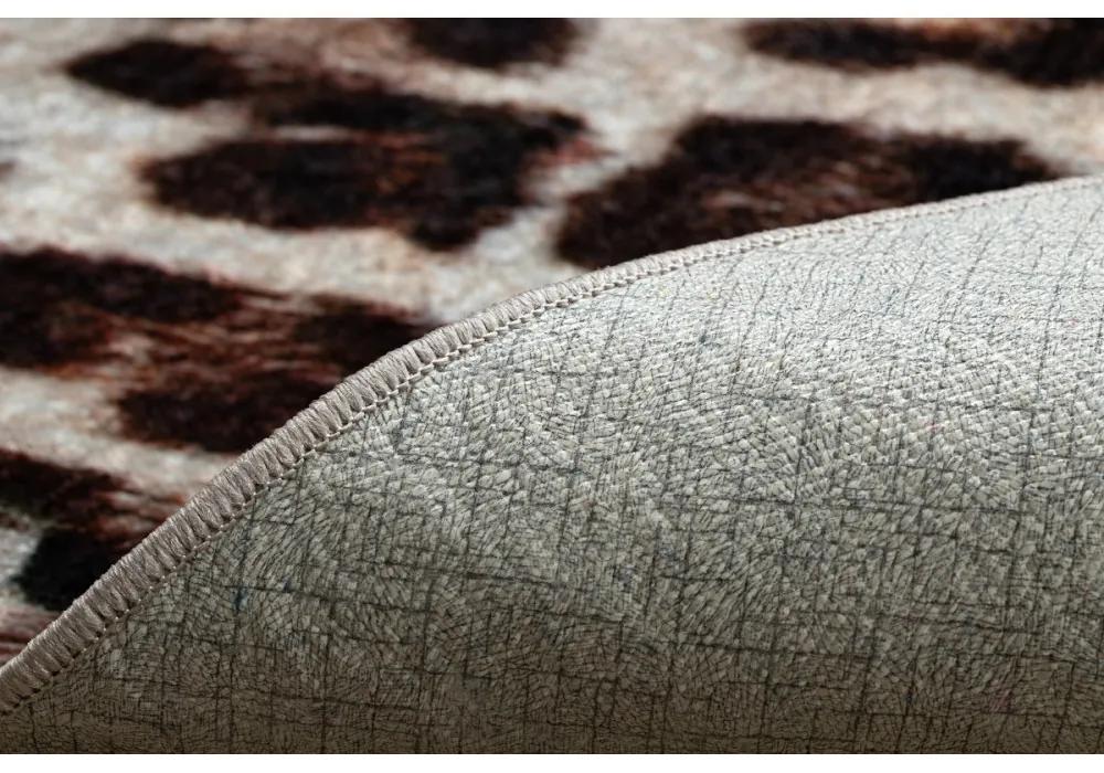 Kusový koberec Acoma hnědý 200x290cm