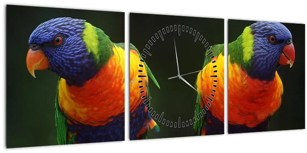 Obraz papoušků (s hodinami) (90x30 cm)