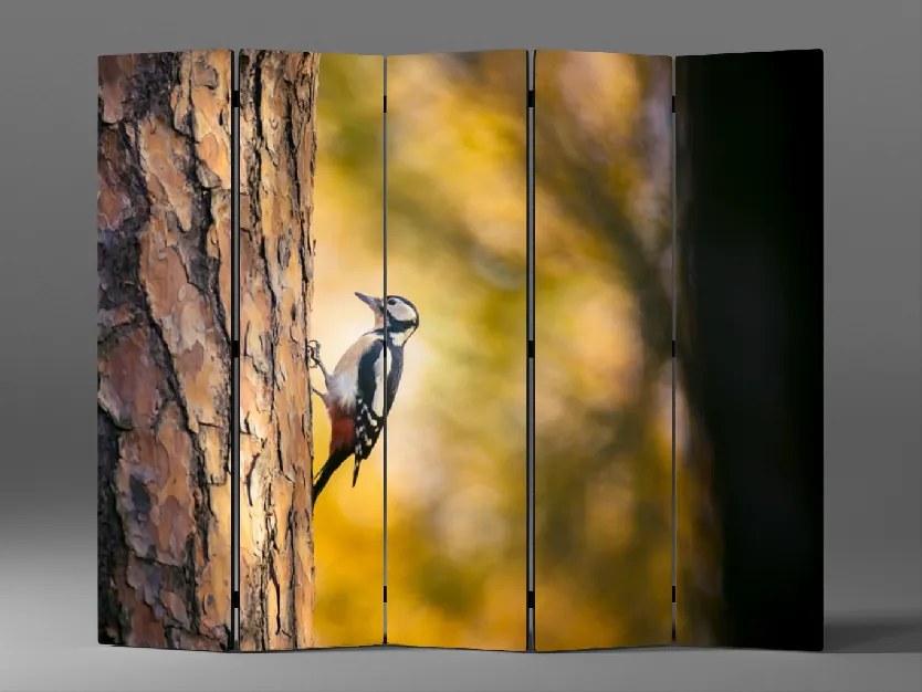 Liox Paraván strakapoud na stromě Rozměr: 225 x 180 cm