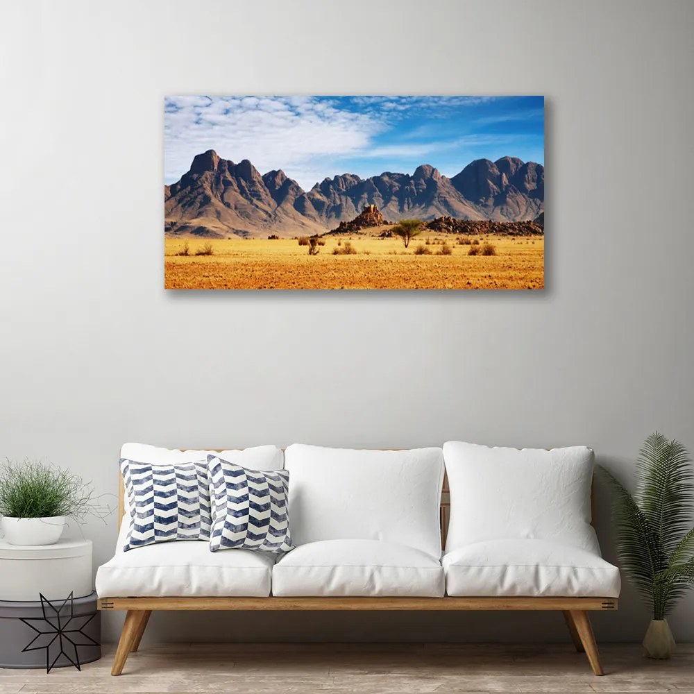Obraz na plátně Poušť Hory Krajina 100x50 cm