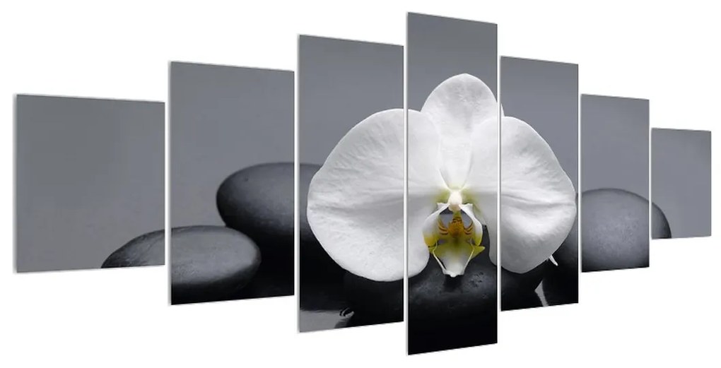 Obraz orchideje (210x100 cm)