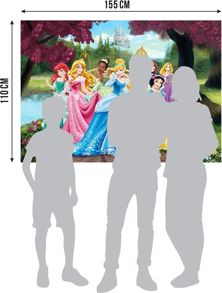 Dětská vliesová fototapeta na zed' Princezny v Lese, Disney | 155 x 110 cm | DFTDNM 5217
