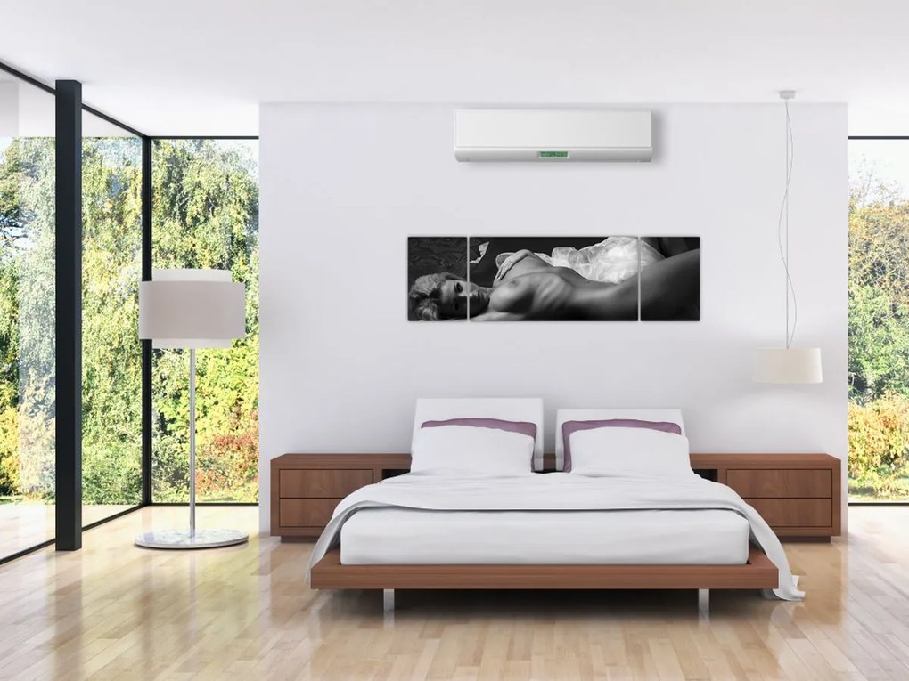 Obraz - Akt ležící ženy (170x50 cm)