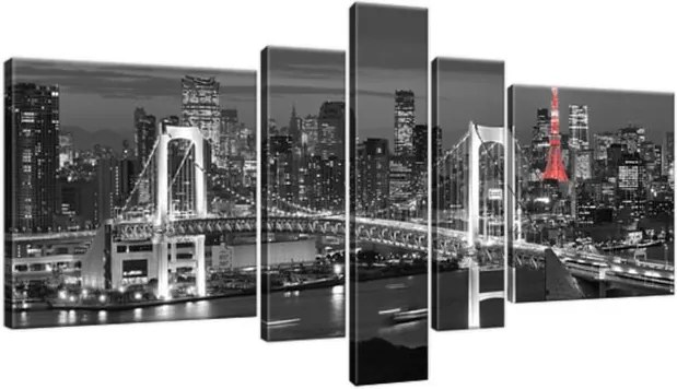 Tištěný obraz Duhový most Tokio 160x80cm 2390A_5J