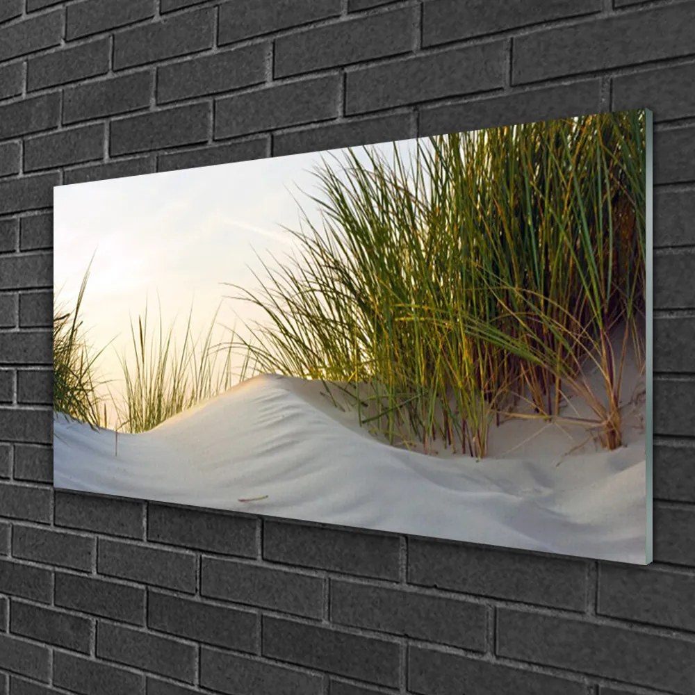 Obraz na skle Písek Tráva Krajina 100x50 cm