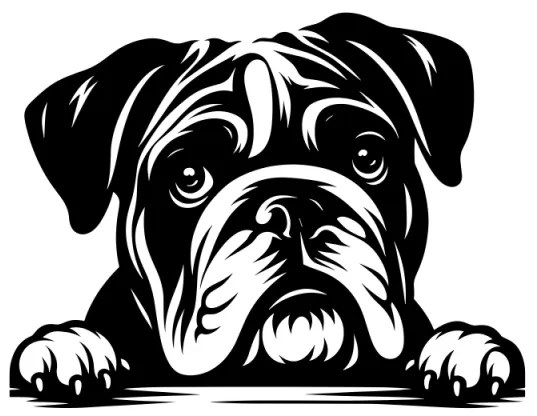 Samolepka pes Bulldog