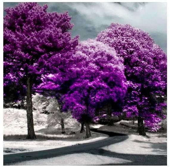 Obraz tří fialově zbarvených stromů (30x30 cm), 40 dalších rozměrů