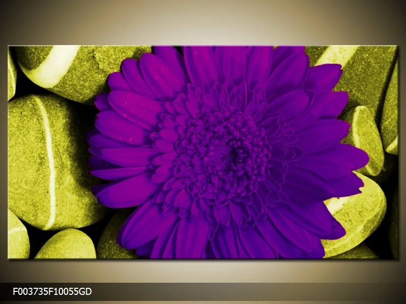 Obraz fialového květu na zelených kamenech  (), 40 dalších rozměrů