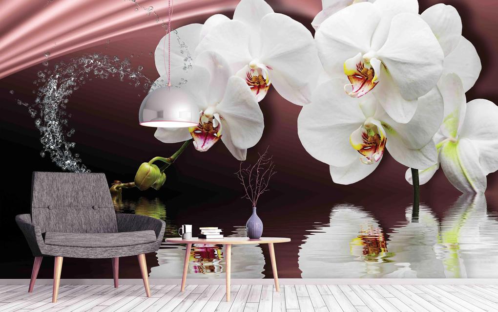 Malvis ® Tapeta Orchidej bílá Vel. (šířka x výška): 216 x 140 cm