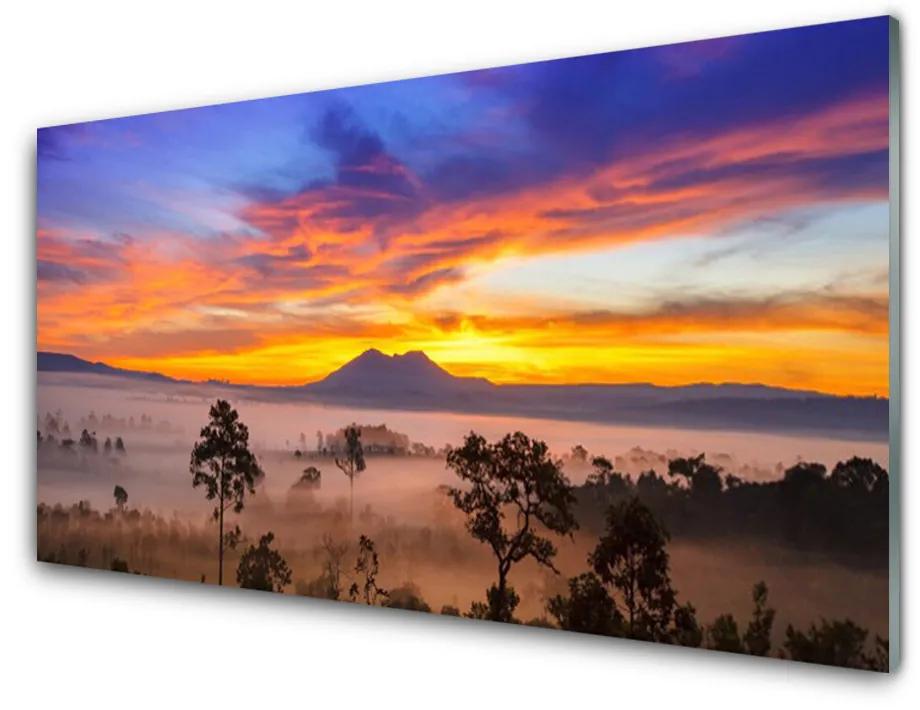 akrylový obraz Stromy Mlha Krajina 125x50 cm