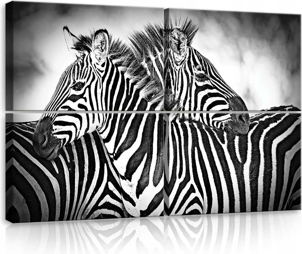 Obraz 120x80 Zebra pruhy černobílé safari zvířata příroda vzor grafika