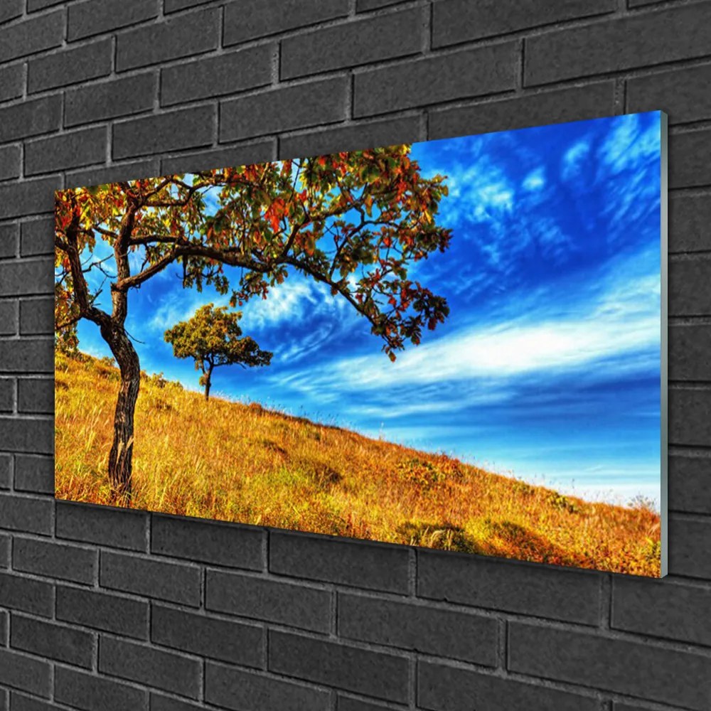Obraz na skle Louka Strom Příroda 100x50 cm